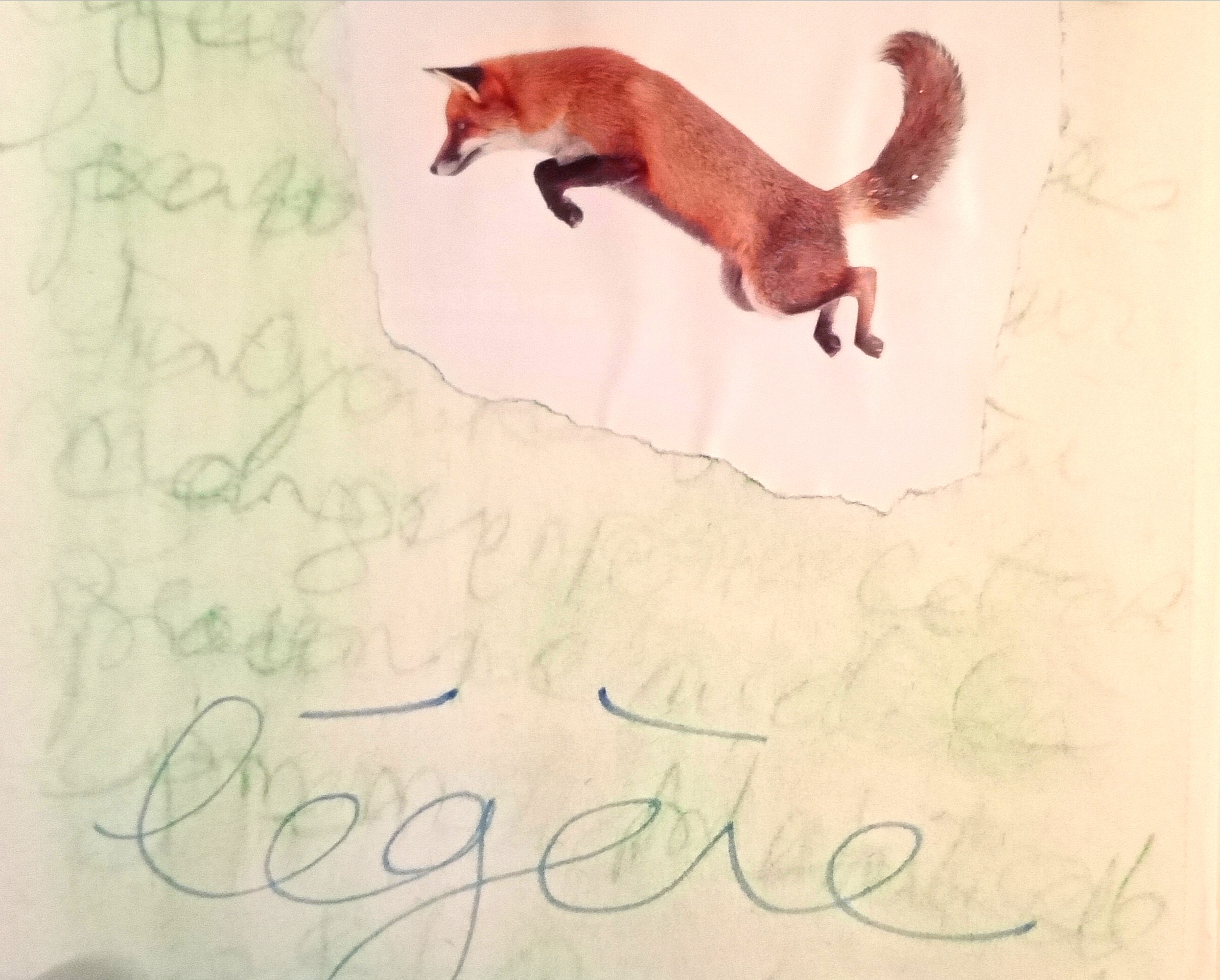 Une activité d’écriture créative pour la classe – Graphopédagogie ...